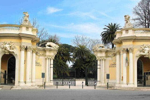 Il Bioparco apre di sera: guida alle visite al tramonto